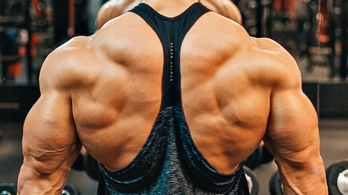ripped lats