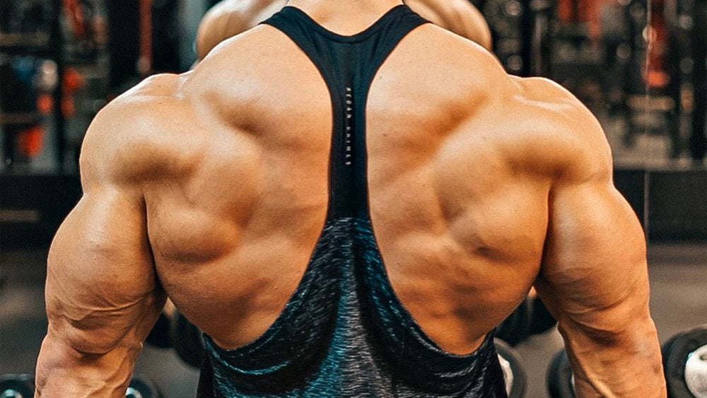The Best Lat Workouts – Primeval Labs