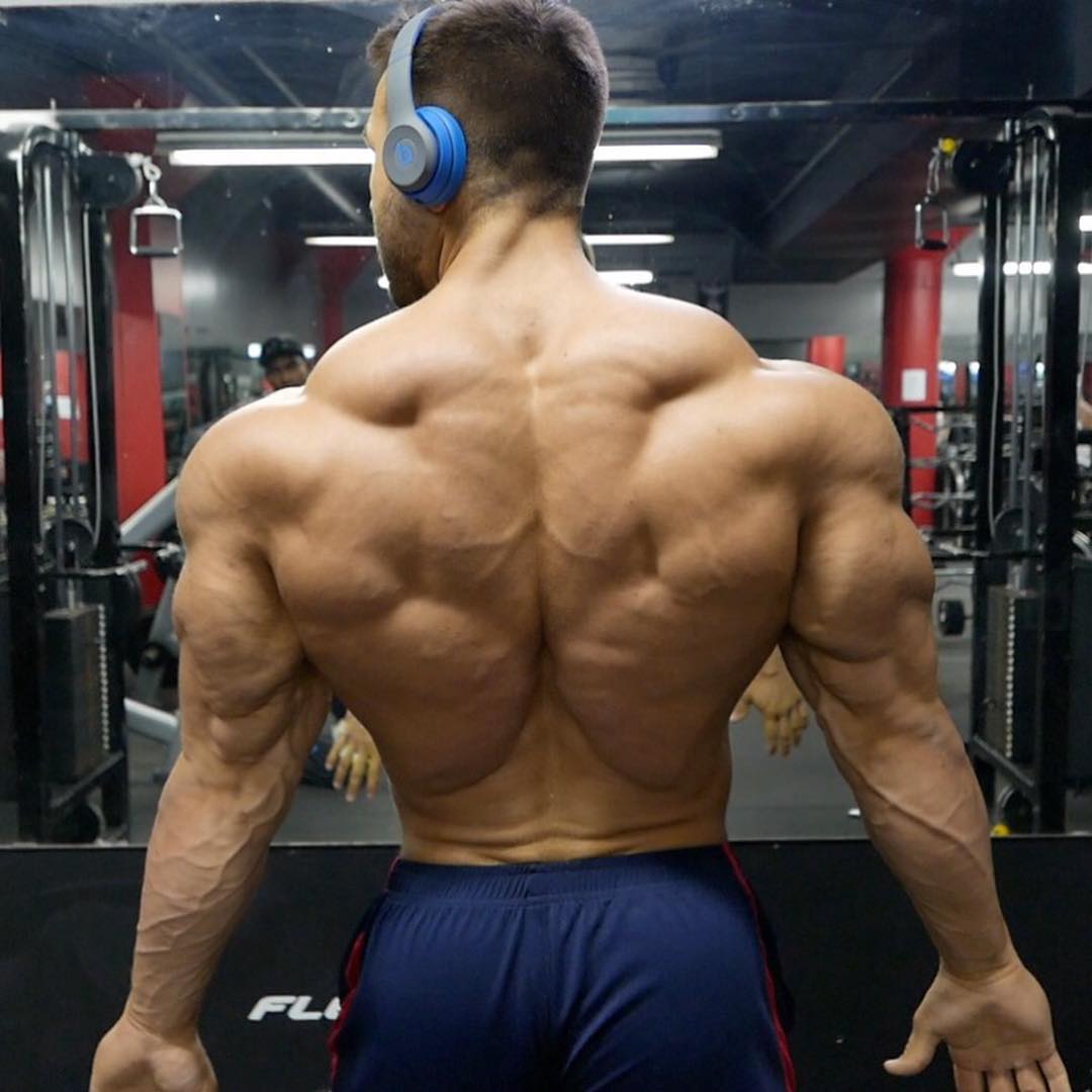 The Best Back Rows: Exercises for Mass | Primeval Labs