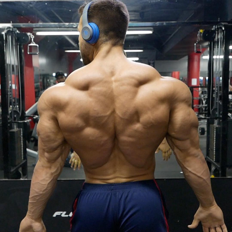 The Best Back Rows: Exercises for Mass | Primeval Labs